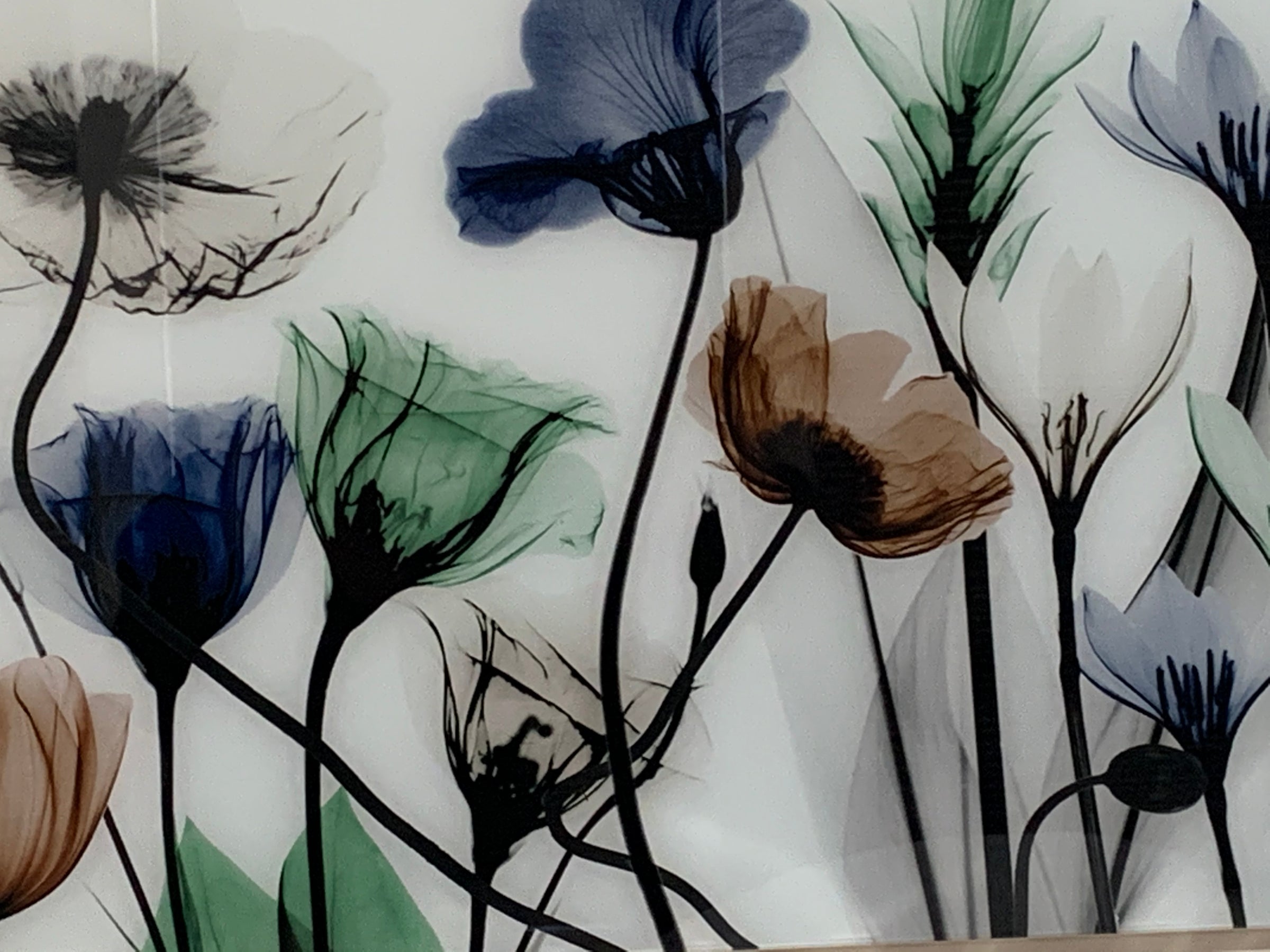 Home | Planet Ranch Spa